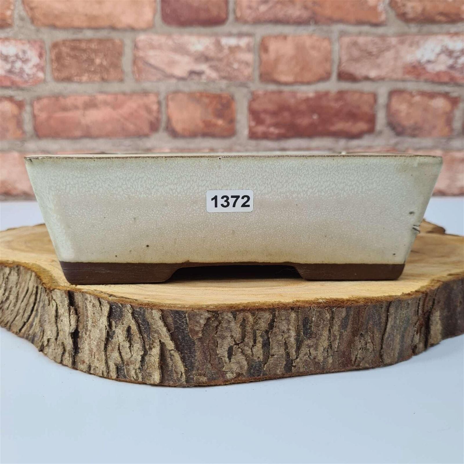 22cm Glazed Bonsai Pot | Rectangle | 22cm x 17cm x 7cm | White ...