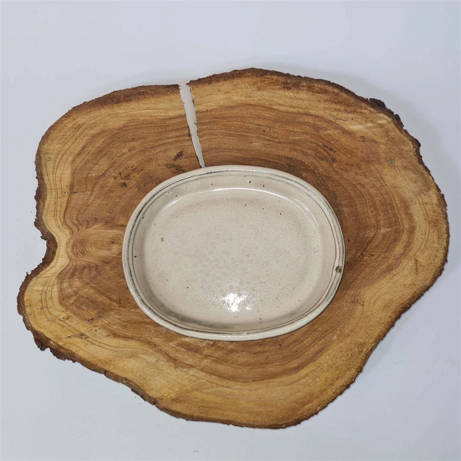 26cm Glazed Drip Tray | Oval | White – Yorkshire Bonsai
