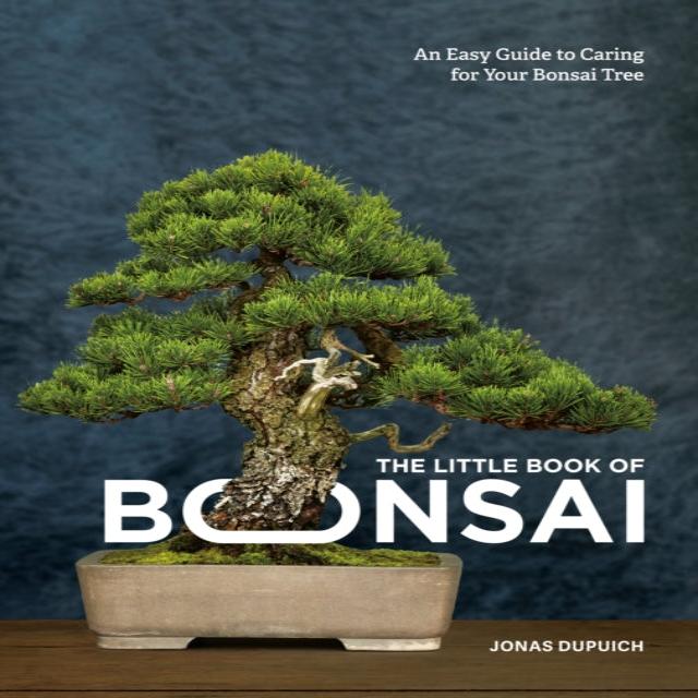 The Little Book of Bonsai : An Easy Guide to Caring for Your Bonsai Tr ...
