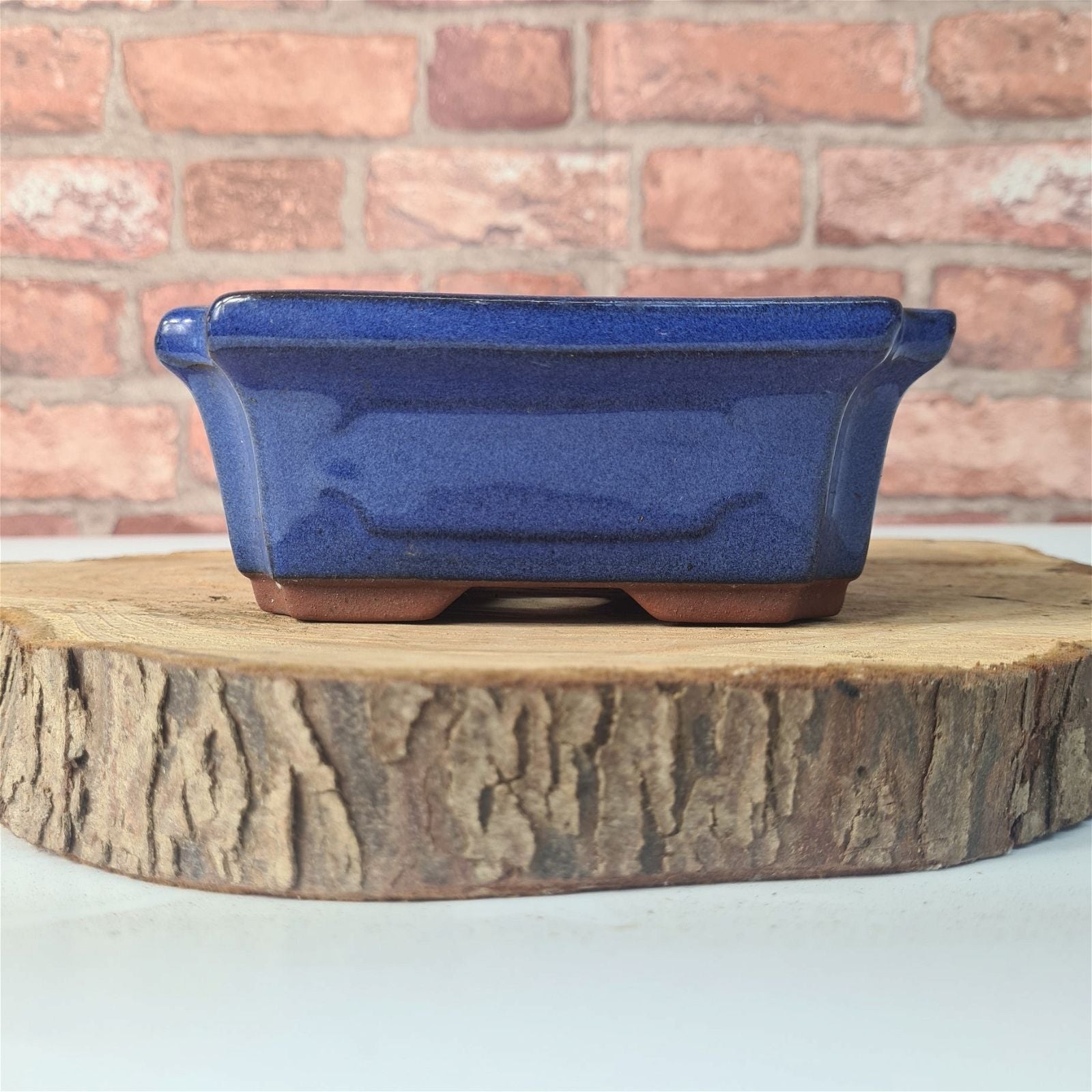 CLEARANCE 15cm Glazed Bonsai Pot | Rectangle | 15cm x 10cm x 6cm | Blu ...